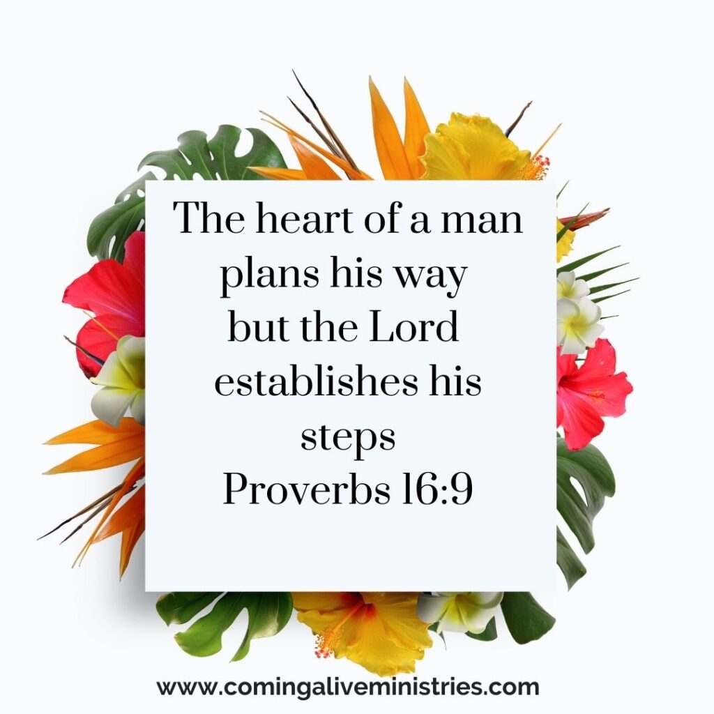 Voices of Wisdom: An Interview with Kennita Williams : Jennifer Hand